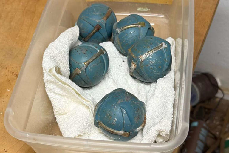 Bomb squad called after new homeowners find live ammunition and ...