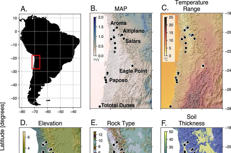 Organisms in the Atacama Desert soil are remarkably diverse, study shows