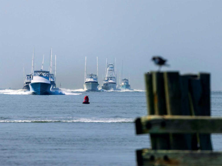 The Outer Banks named editor’s choice for best offshore fishing in the ...