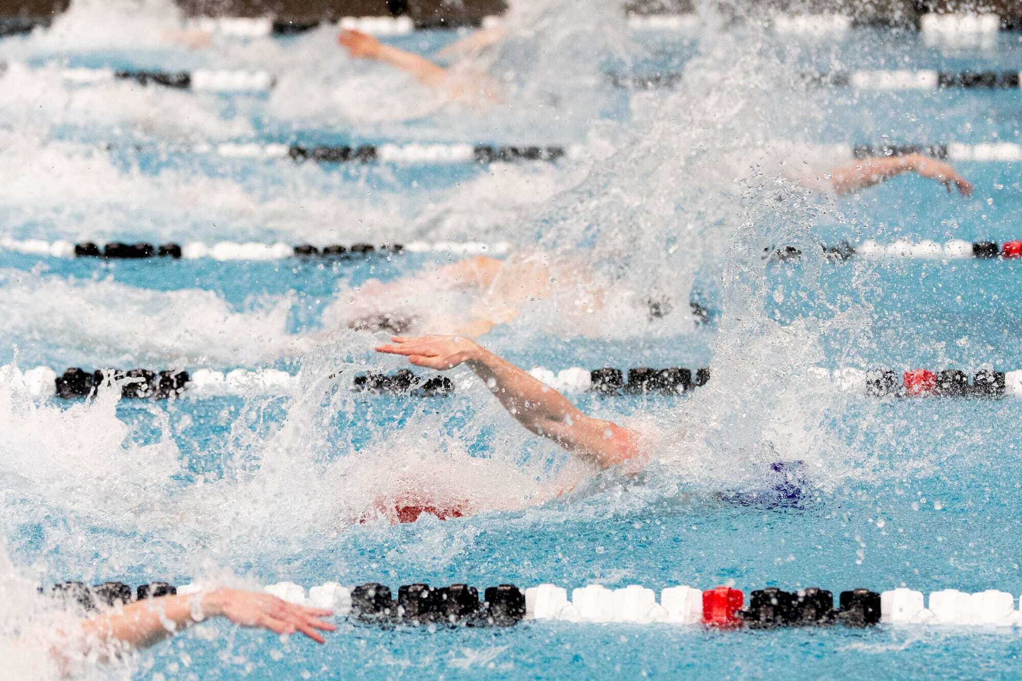 Michigan high school boys swimming rankings: Spring Lake dives into top ...