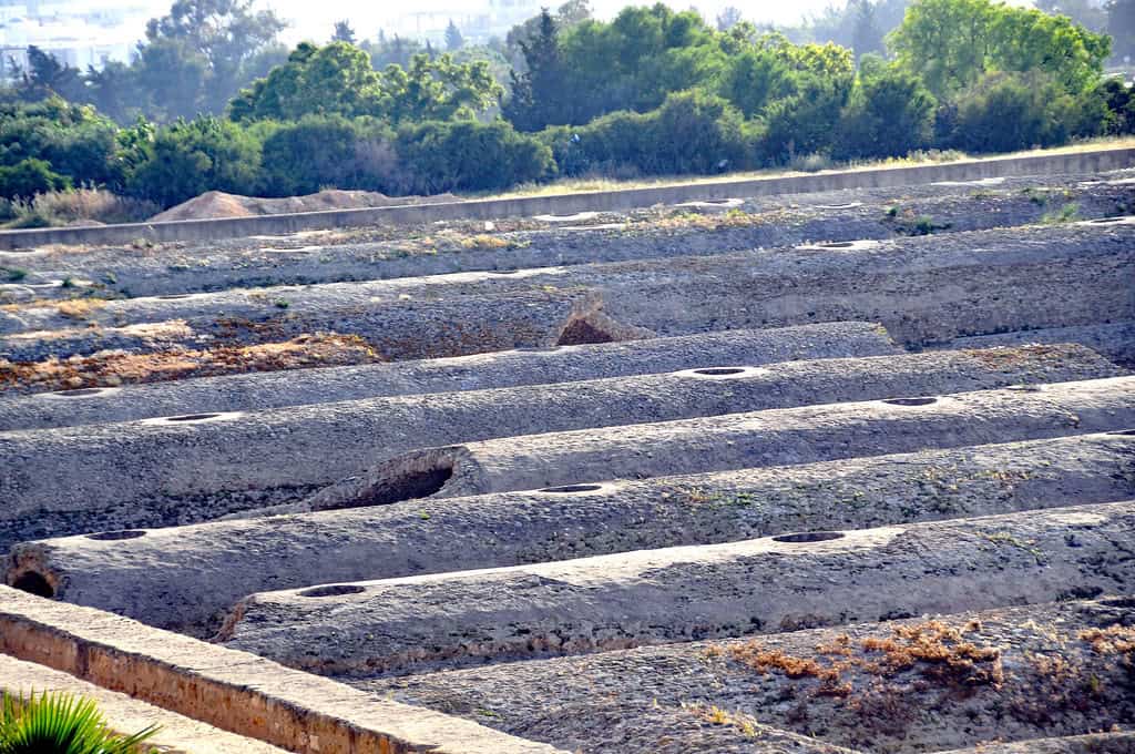 Starved, burned, and conquered: History’s worst sieges revealed