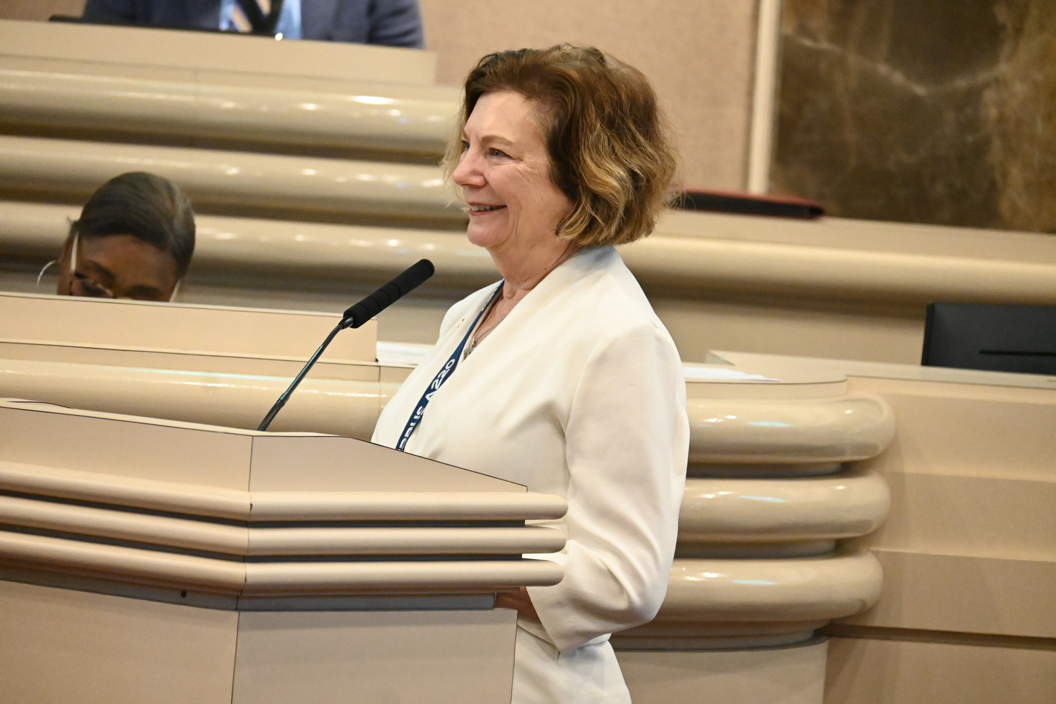 Rules for police chases, public corruption, food stamps: Here are bills ...