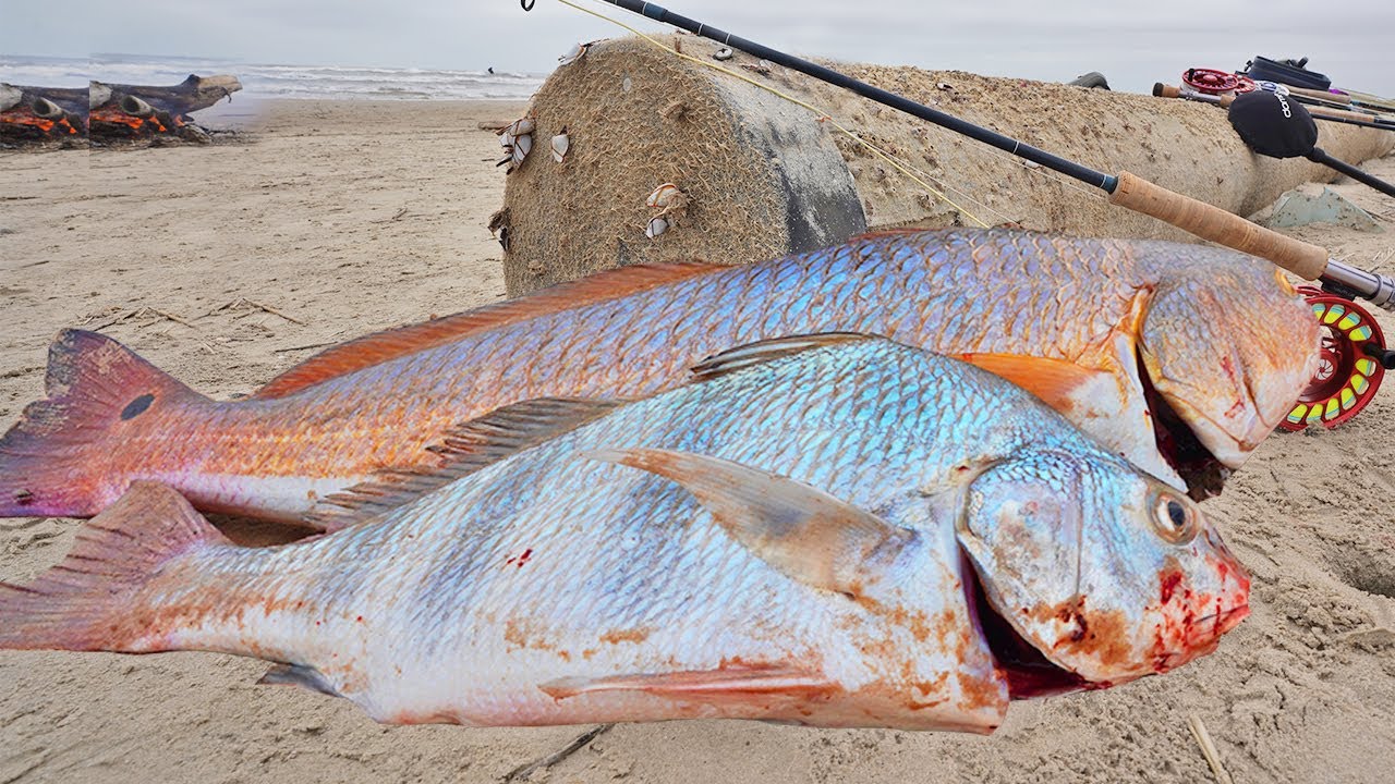 Catch Clean and Cook CAJUN Red Fish/ Black Drum on the Half Shell