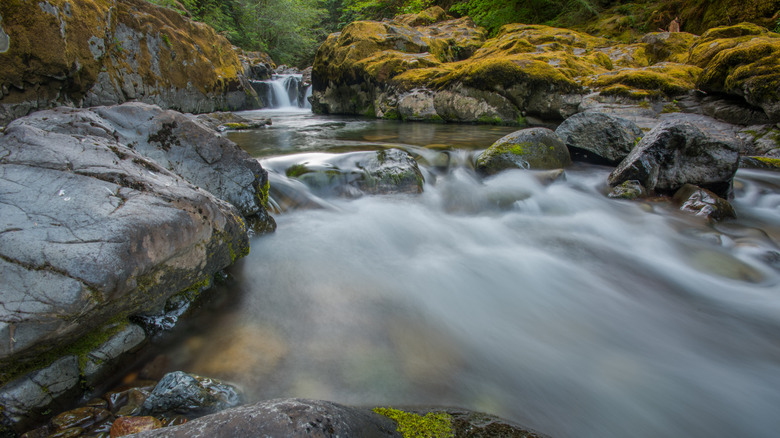 An easy hike in the Oregon Cascades leads to waterfall wonderlands ...