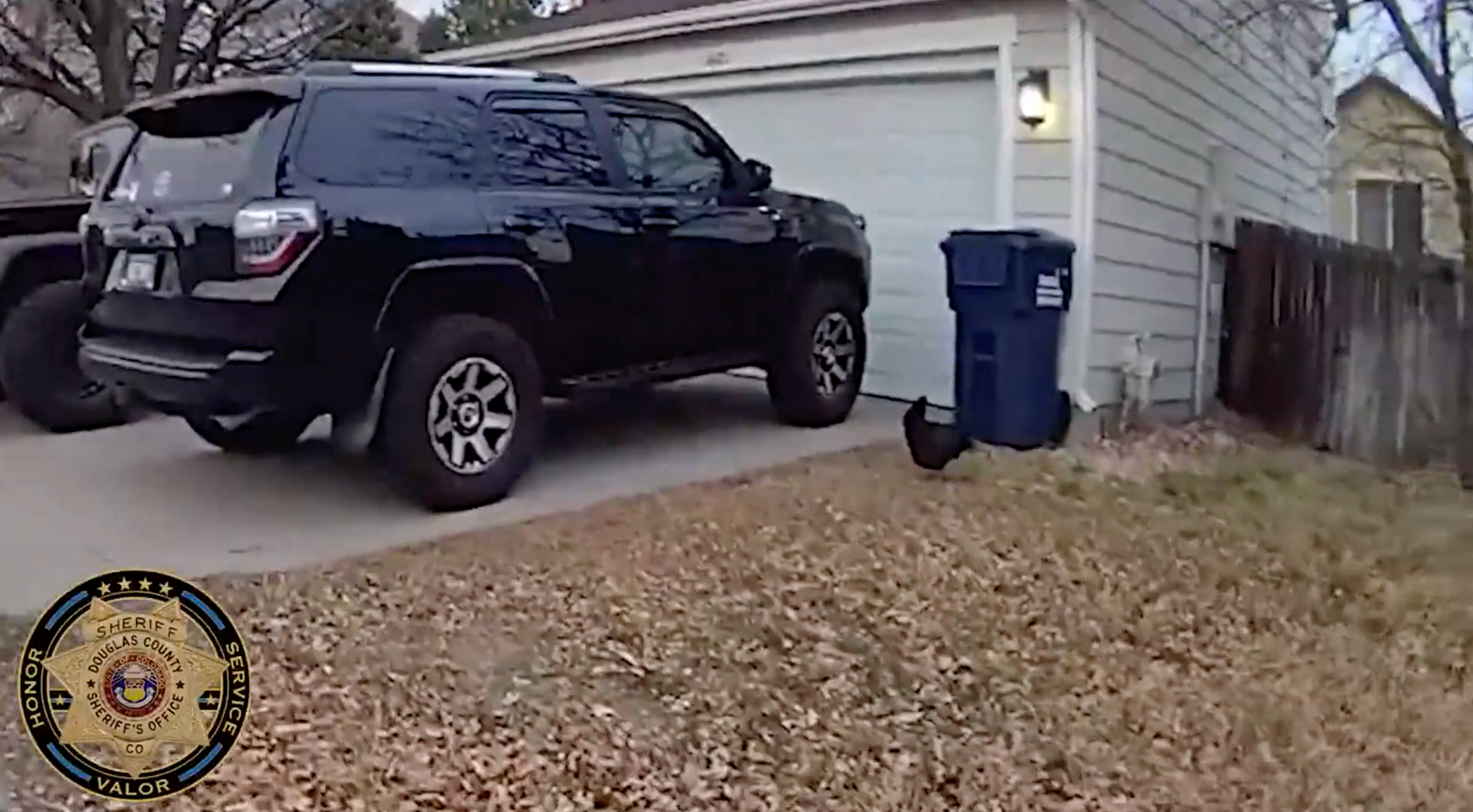 See it: Colorado sheriff's deputy wrangles loose chickens from neighborhood