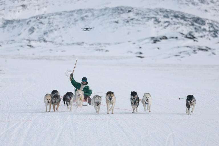Greenland’s dog sled race asks who invited Trump’s envoy to the event