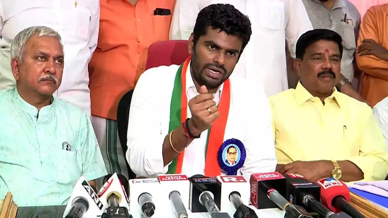 A sweet rasmalai victory: South BJP MPs dig at Raj Thackeray as BJP ...