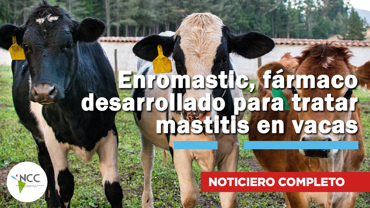 Enromastic, fármaco desarrollado para tratar mastitis en vacas | 828 ...