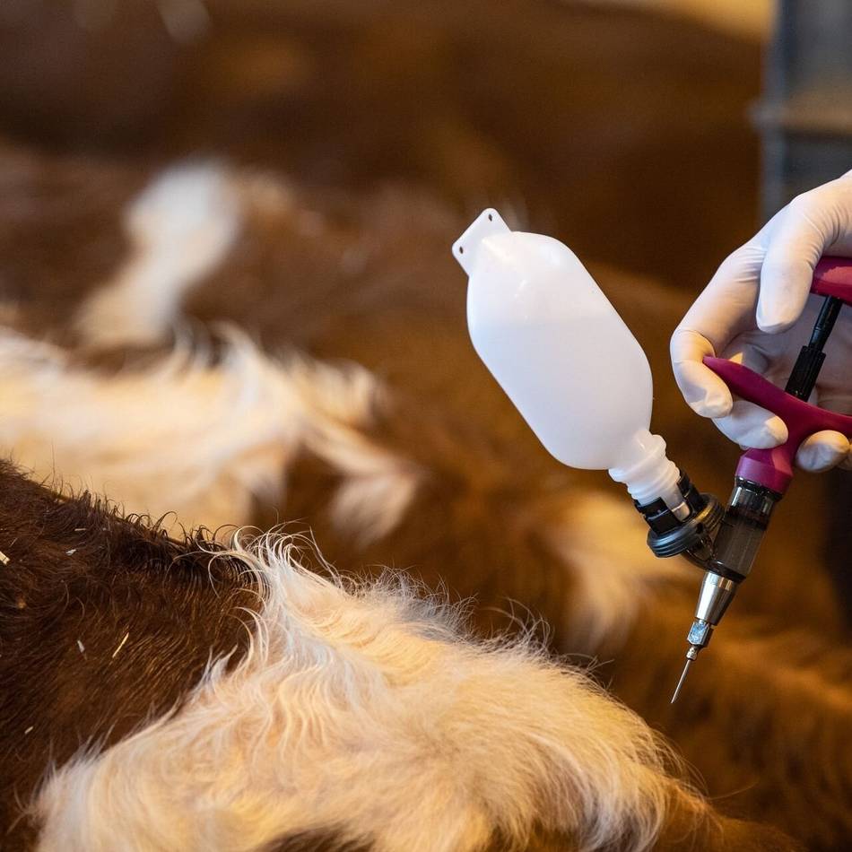 Kreis Viersen und Krefeld liegen in Schutzzone