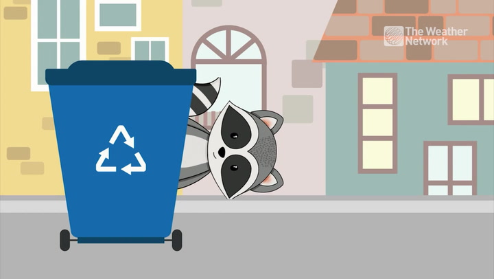 Ontario's recycling rules are changing for some communities