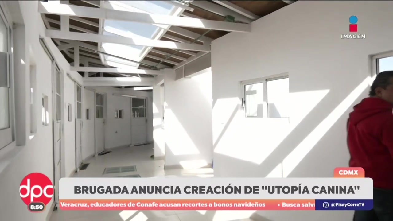Brugada presenta proyecto de Utopía Canina en la CDMX | DPC con Paola Rojas