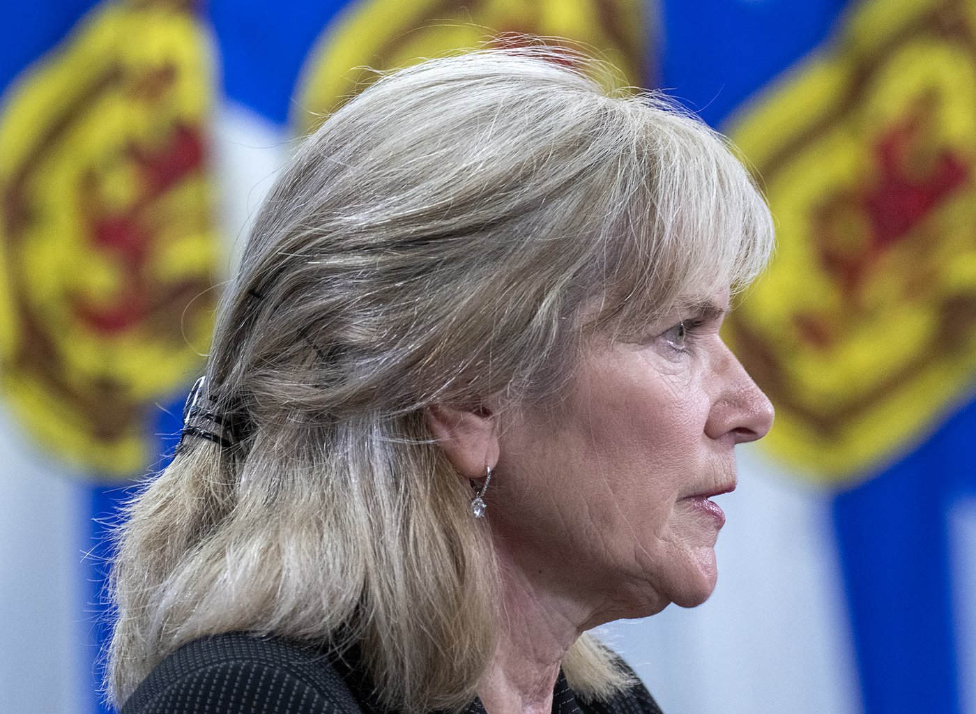 NS auditor repeats call for more oversight of government spending ...