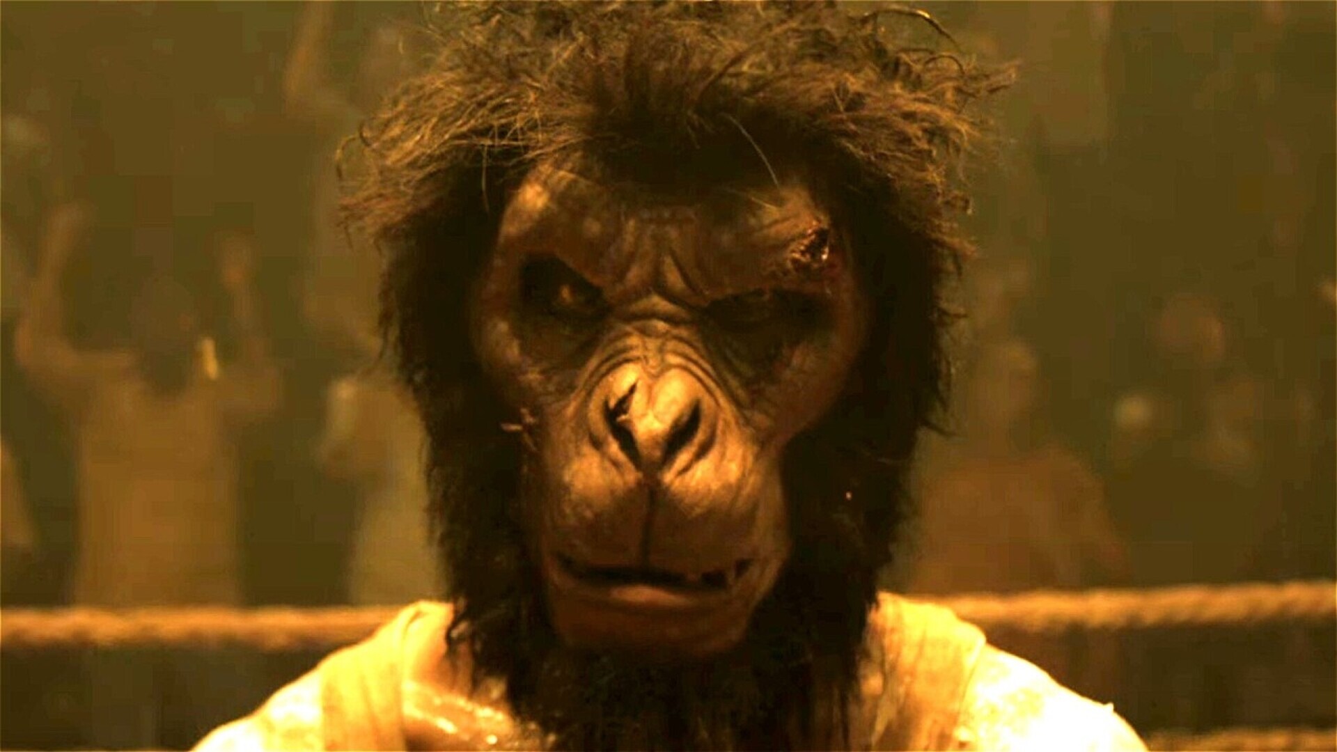 These hidden action movies go way harder than you'd expect