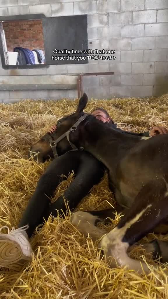 Lying in the straw with the one horse I fully trust