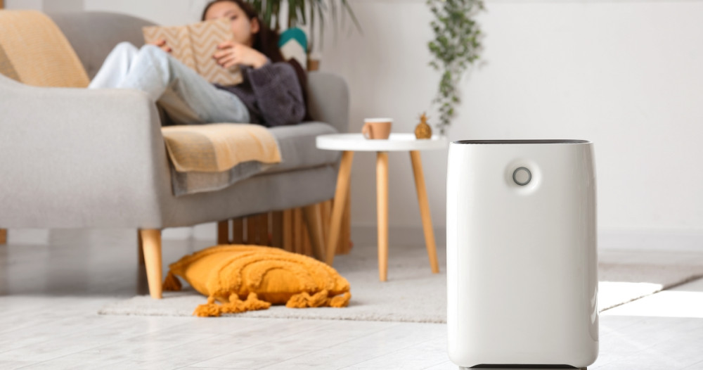 Purificateurs d’air : sont-ils vraiment efficaces pour votre santé ? Ce ...
