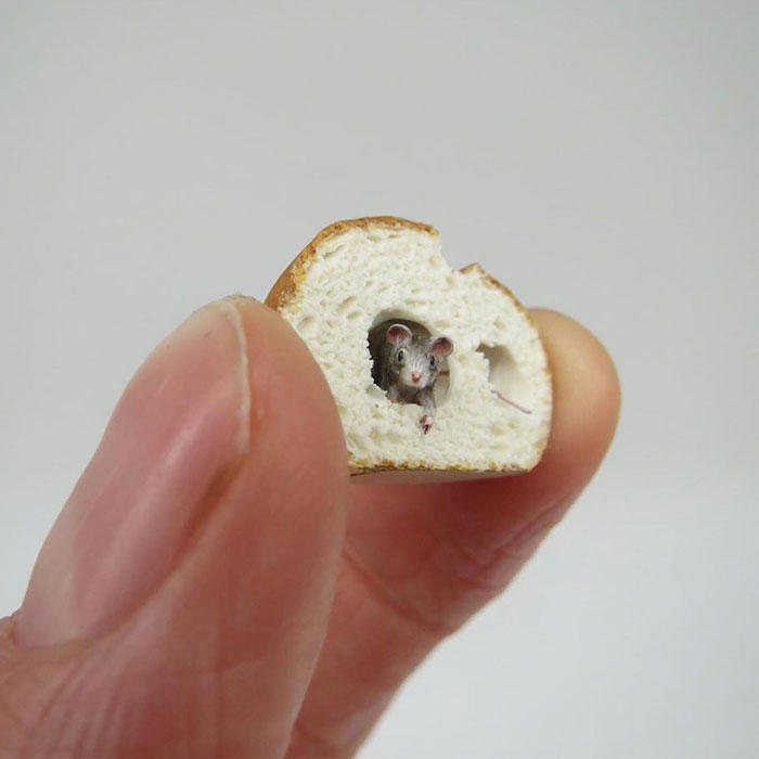 Biologically accurate animal miniatures by artist Fanni Sandor (30 photos)