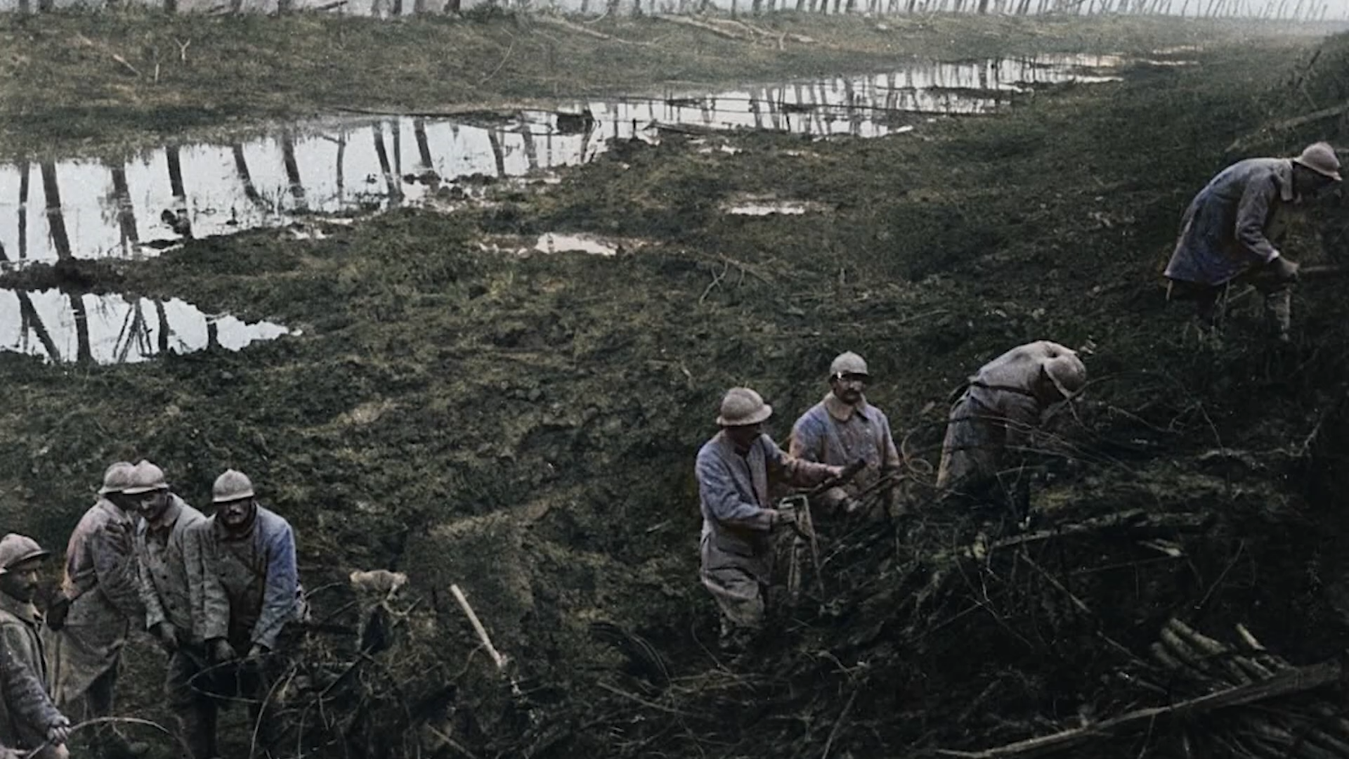 Blood in the Argon Forest: The 26th Division's final battles