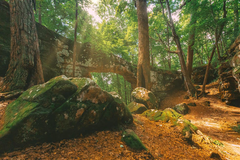 7 best things to do in Sewanee, Tennessee