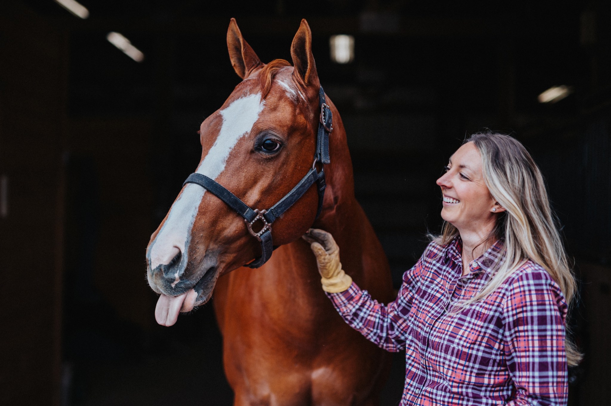 ‘Humans could go the way of horses’: Goldman calculated how bad the AI ...