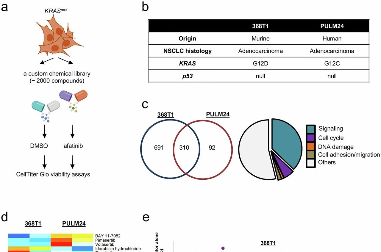 New combination therapy developed for frequent form of lung cancer