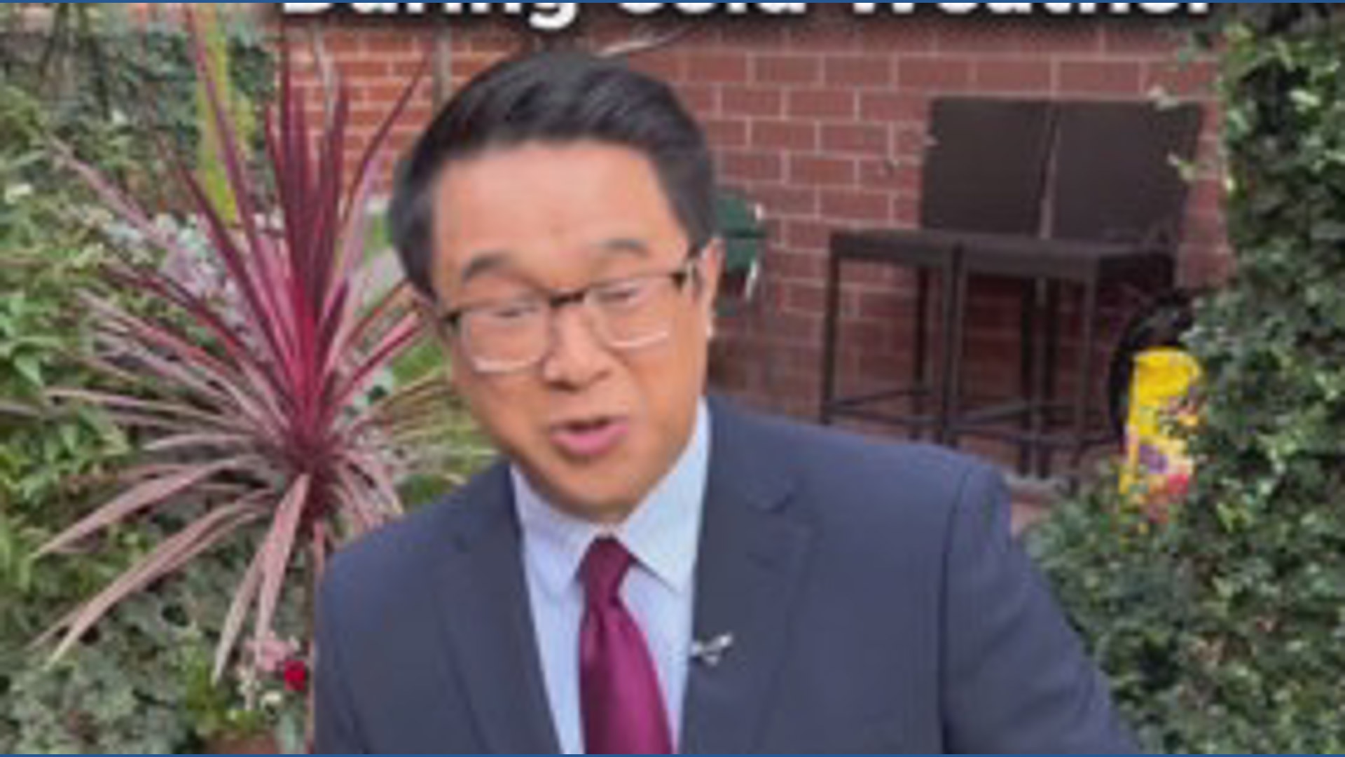 Protecting pets, plants, and pipes during cold weather