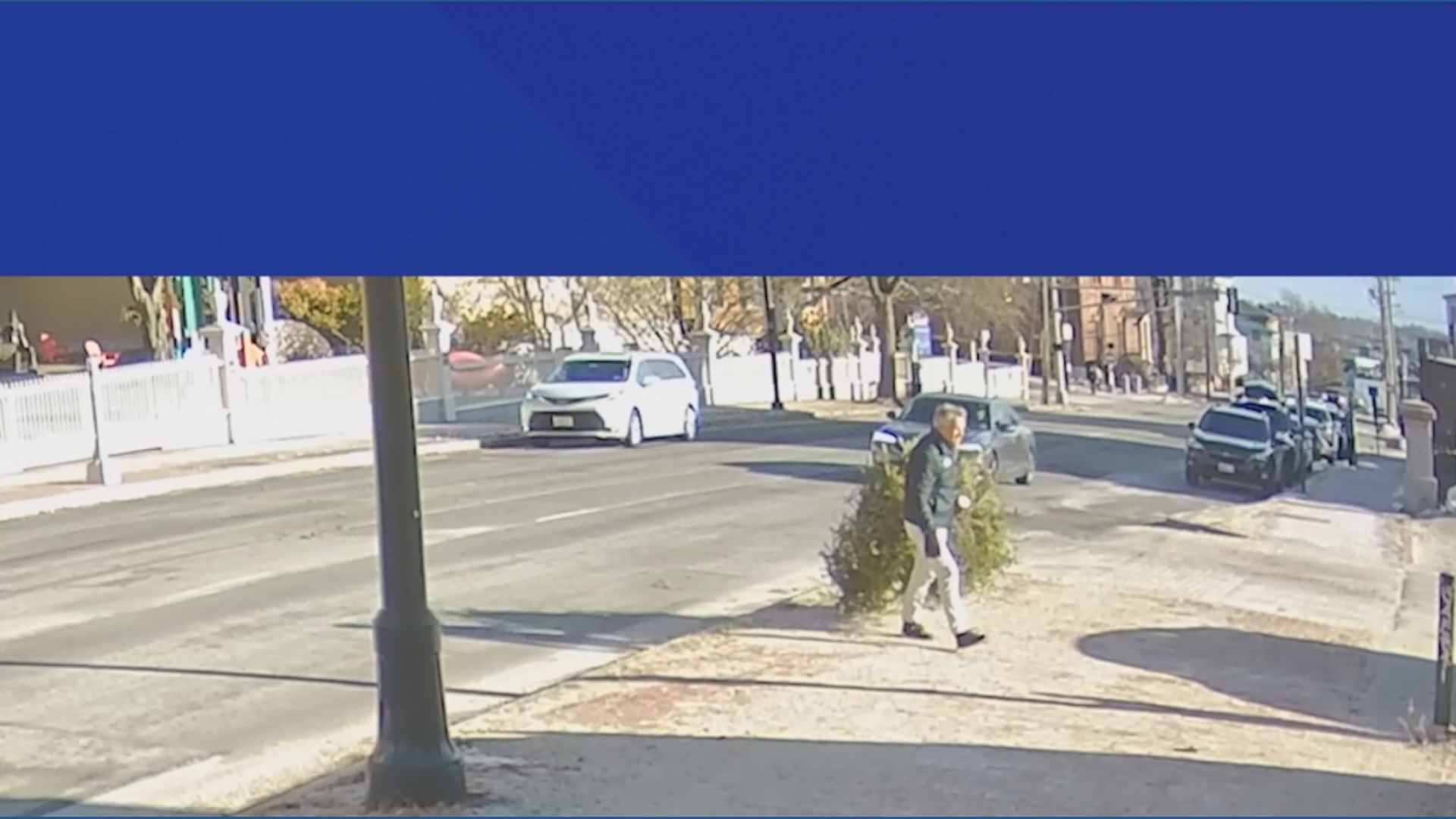 News Center Maine's Rob Caldwell rescues tree from Portland traffic