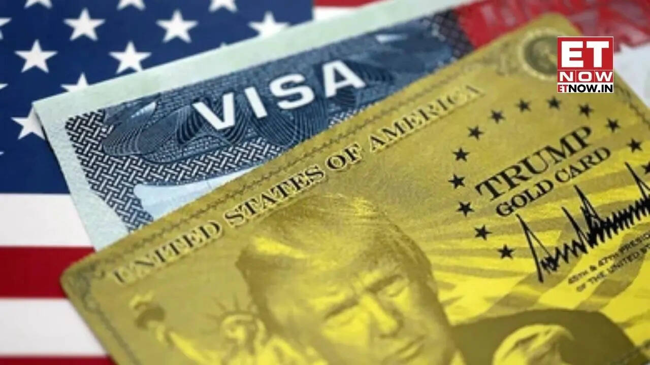 Why so many visas? Trump revokes over 100,000 permits in 2025, 8,000 ...