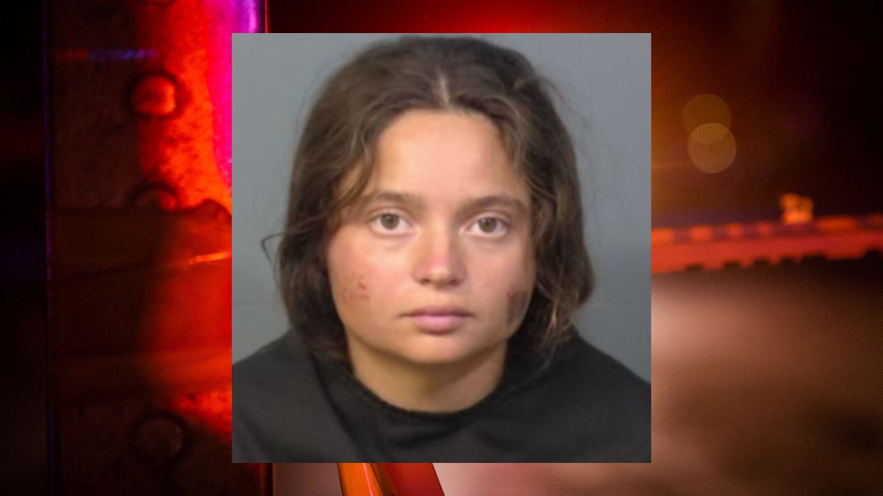 Vandalism spree suspect possibly transient with out-of-state ties ...