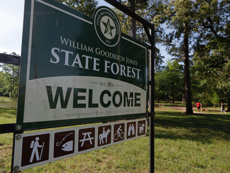 Conroe area may see and smell smoke from prescribed burn in WG Jones ...