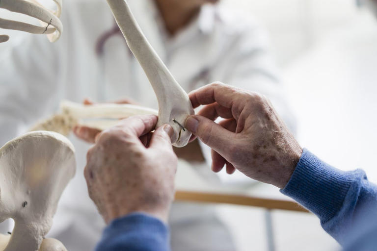What is bone marrow and why is it important?