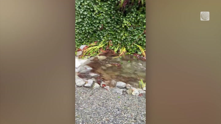 Rain cascades down the steps to this BC home after days of rain