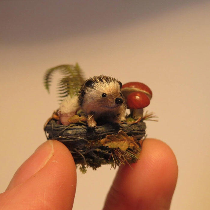 Biologically accurate animal miniatures by artist Fanni Sandor (30 photos)