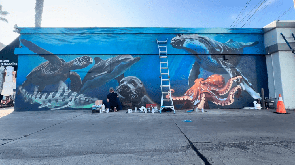 New Wildcoast mural in Pacific Beach highlights marine wildlife