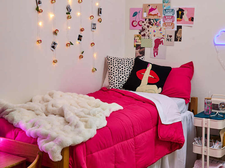 The 2-in-1 decor gem I've used in every room since freshman year (it's ...