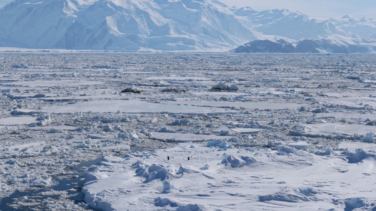 Scientists warn the Arctic has entered a terrifying new era