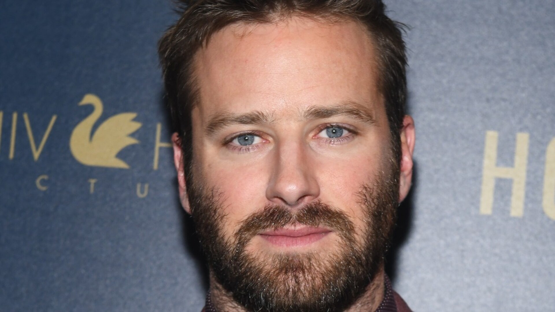 Armie Hammer's fall from grace is something to behold