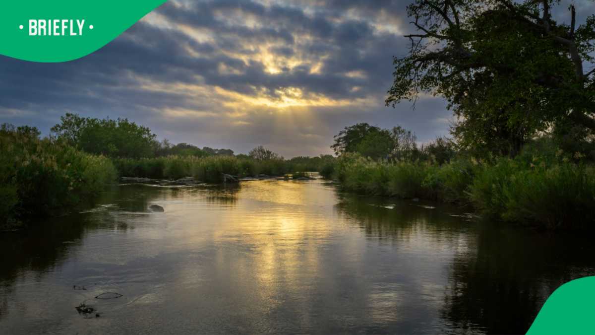 Body of toddler found in Mpumalanga river, South Africans horrified