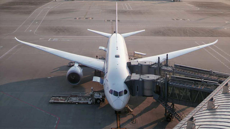 These airlines delivered most on-time arrivals in 2025, study finds