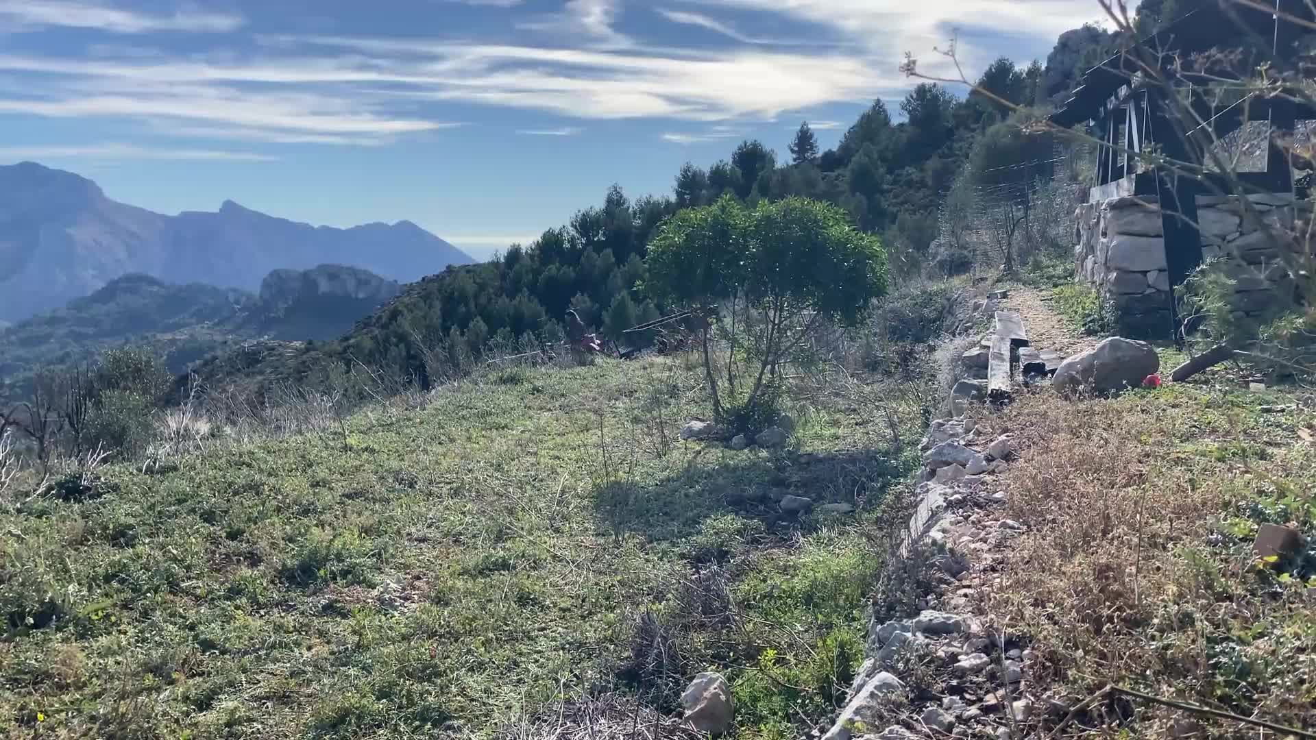 How we built an off-grid homestead from scratch