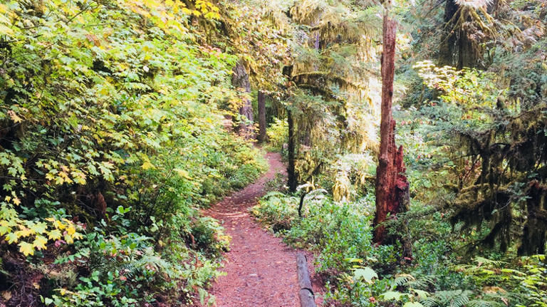 An easy hike in the Oregon Cascades leads to waterfall wonderlands ...