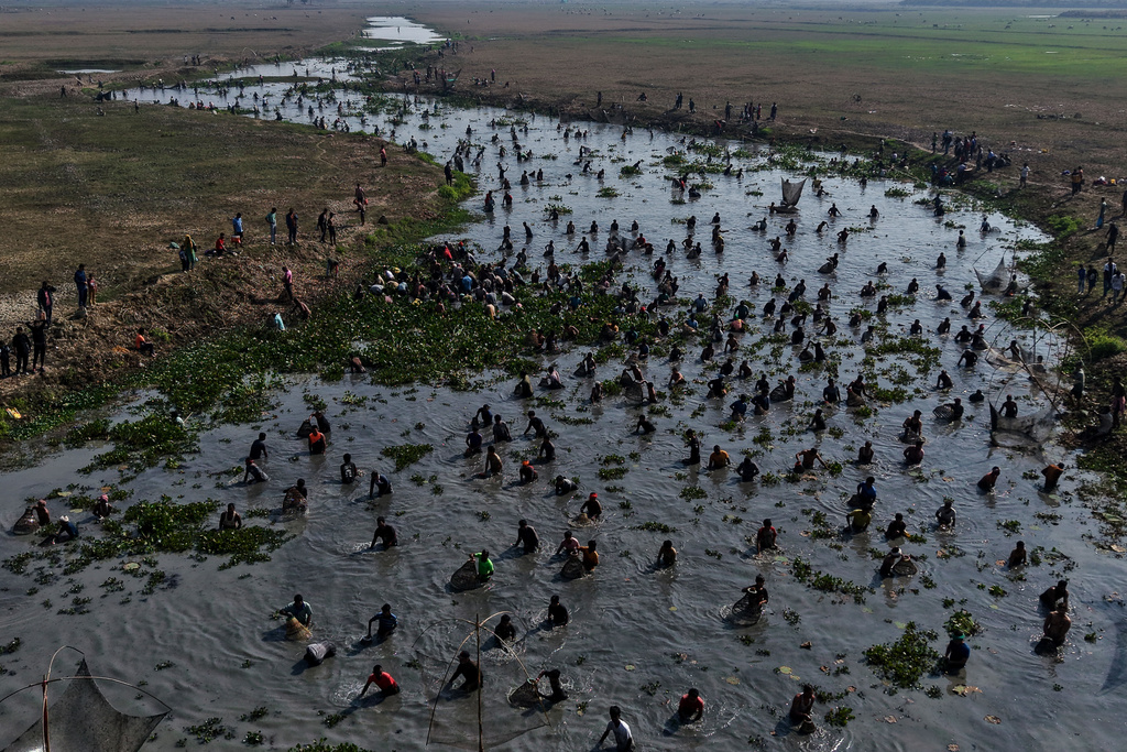 Photos of a community catch in an Indian fishing village marking the ...