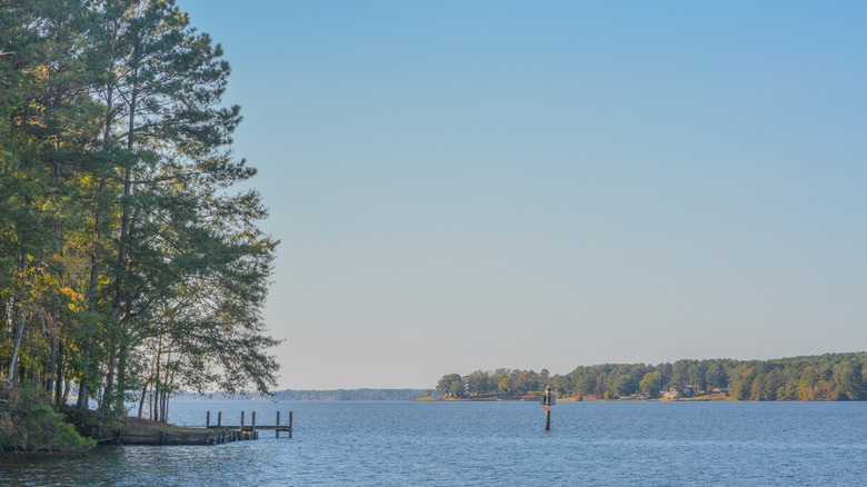 Home to a plethora of outdoor adventures, this Louisiana state park is ...