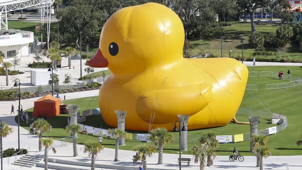 Meet the world’s largest rubber duck in Clearwater
