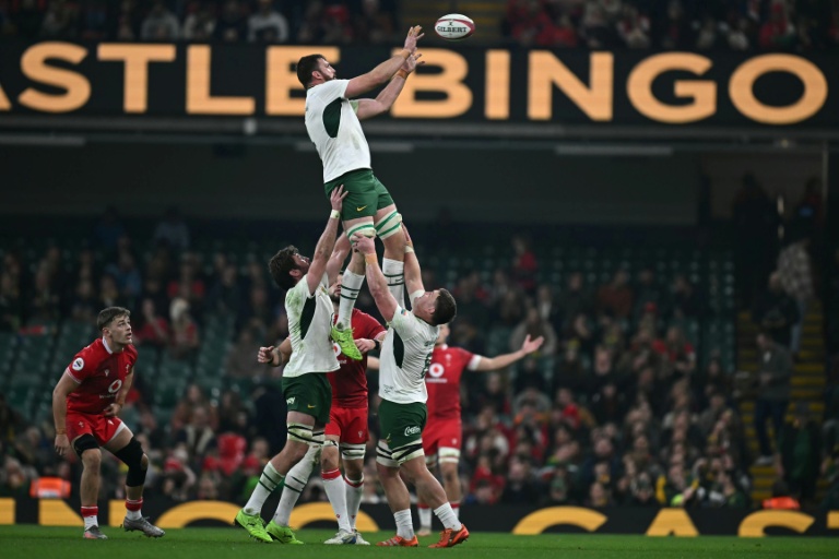 Gloucester sign Springbok World Cup winner Kleyn