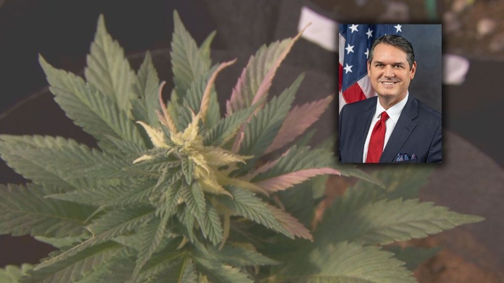 71,000 signatures snubbed? Florida marijuana ballot initiative faces ...