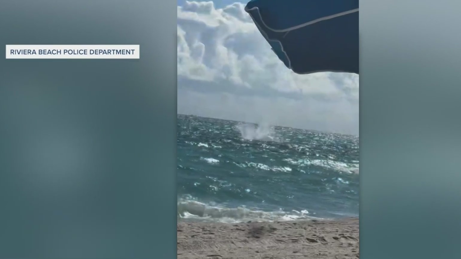 Video shows man paragliding in Florida survives 500-foot fall