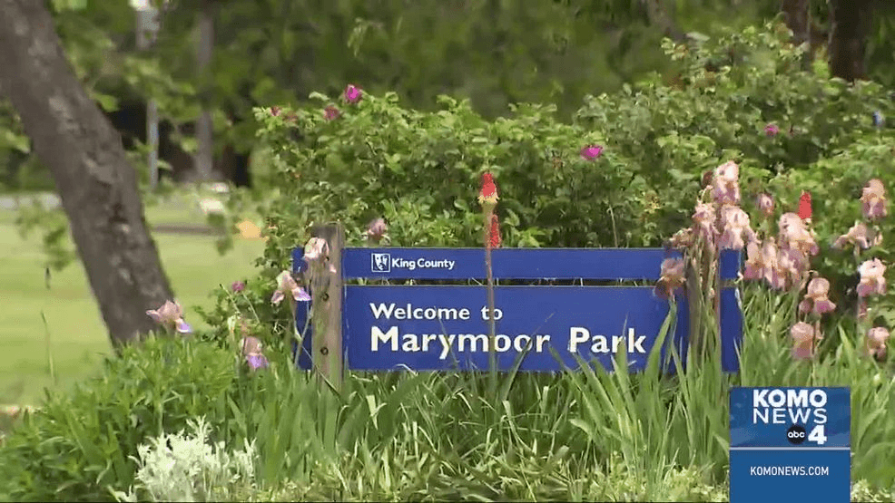 Audit determines King County Parks and Recreation at risk of ...