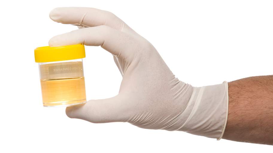 6 laws in history that sound absurd but actually make sense