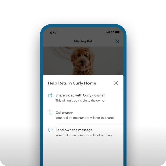 Ring founder details the camera company’s ‘intelligent assistant’ era