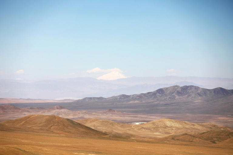 Organisms in the Atacama Desert soil are remarkably diverse, study shows